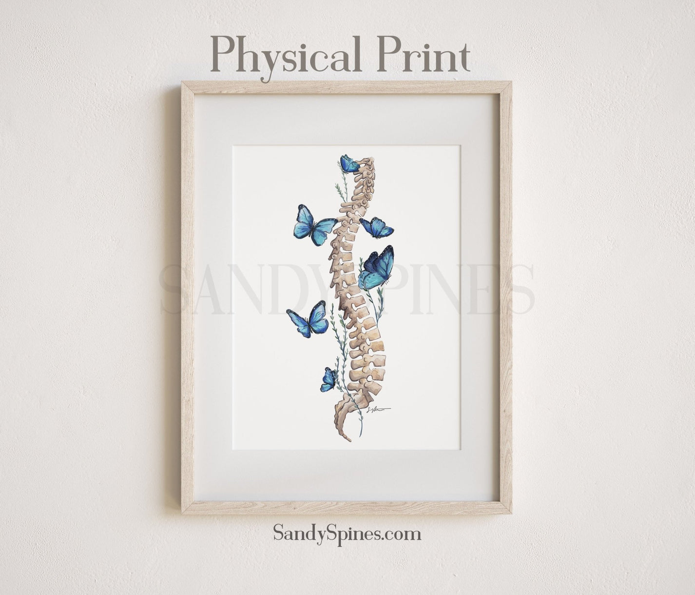Butterfly Spine Print | Abstract Anatomy – SandySpines