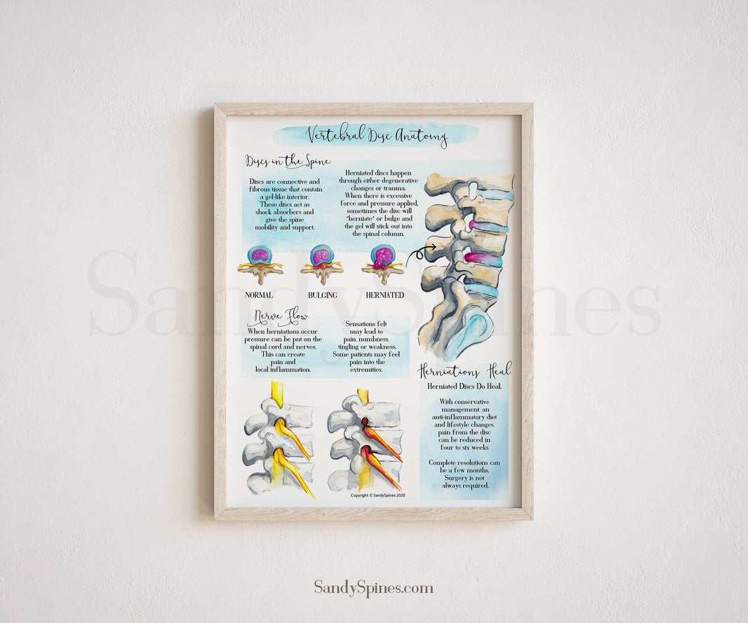 Anatomy Posters by SandySpines