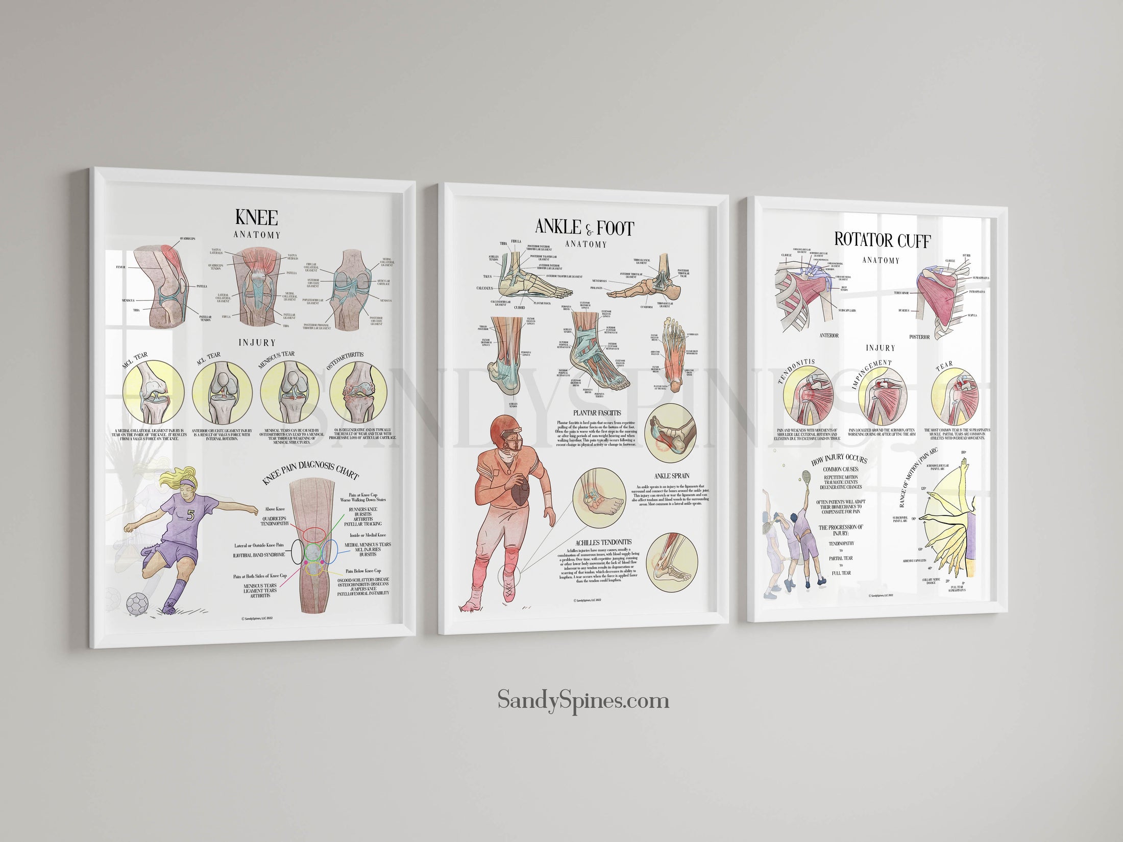 Ankle & Foot Injury Poster by SandySpines