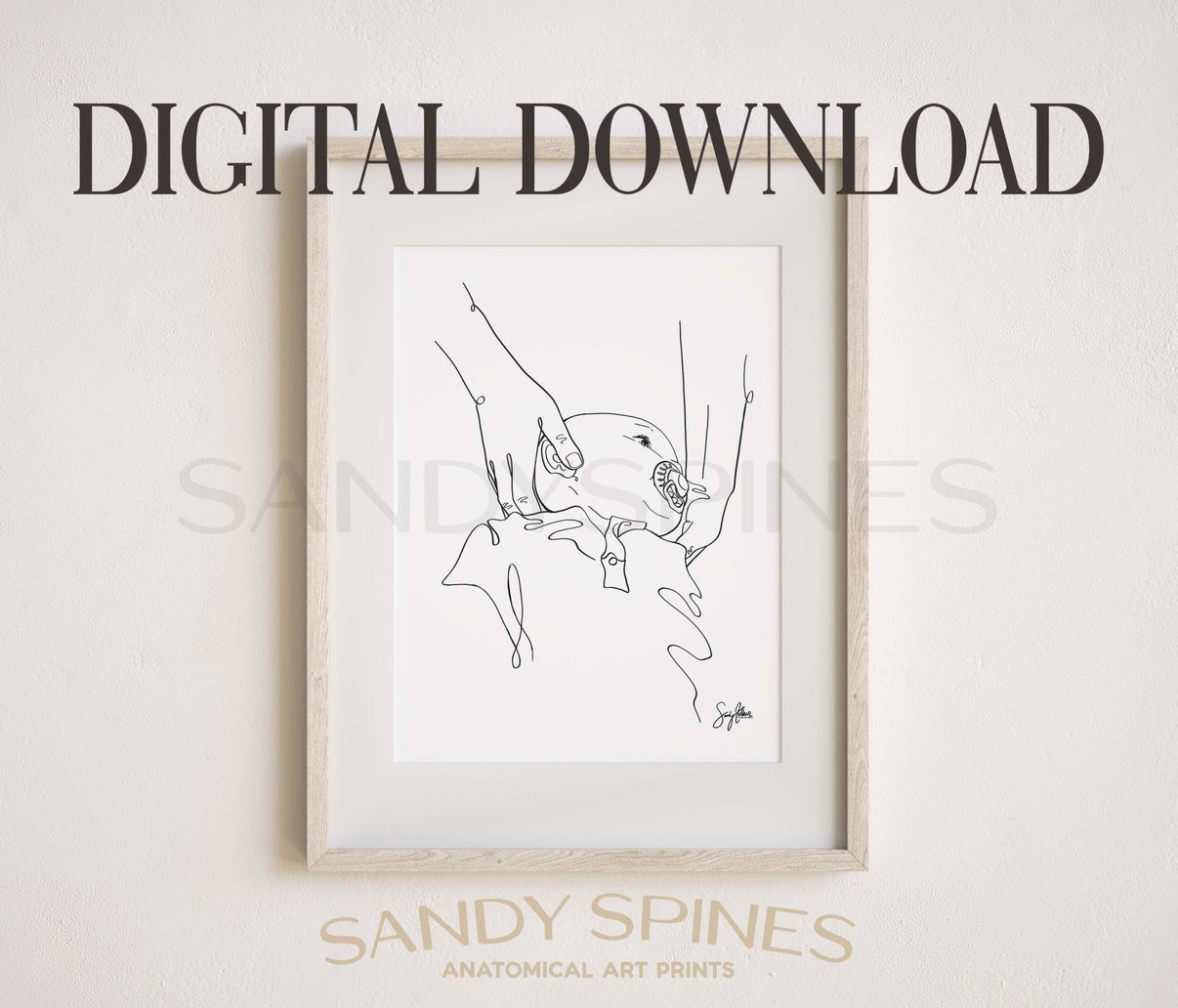 Pediatric Adjusting Line Art #2 | DIGITAL DOWNLOAD only – SandySpines