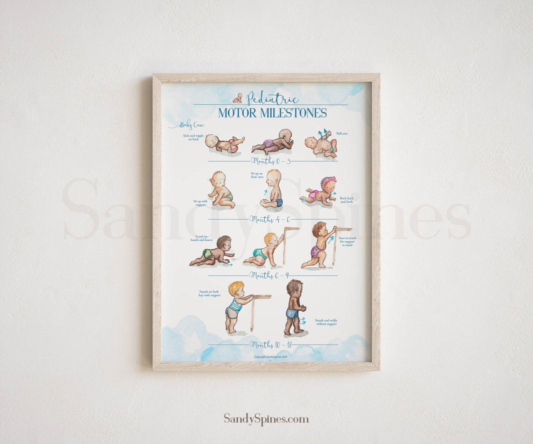 All Anatomy Posters & Educational Prints | SandySpines