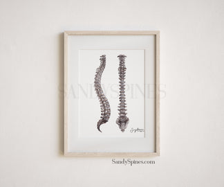 Grayscale Spines Art Print | Watercolor anatomy – SandySpines