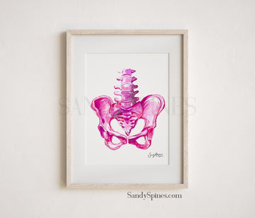 Anatomy Art Prints for Clinics & Offices | SandySpines – Page 2