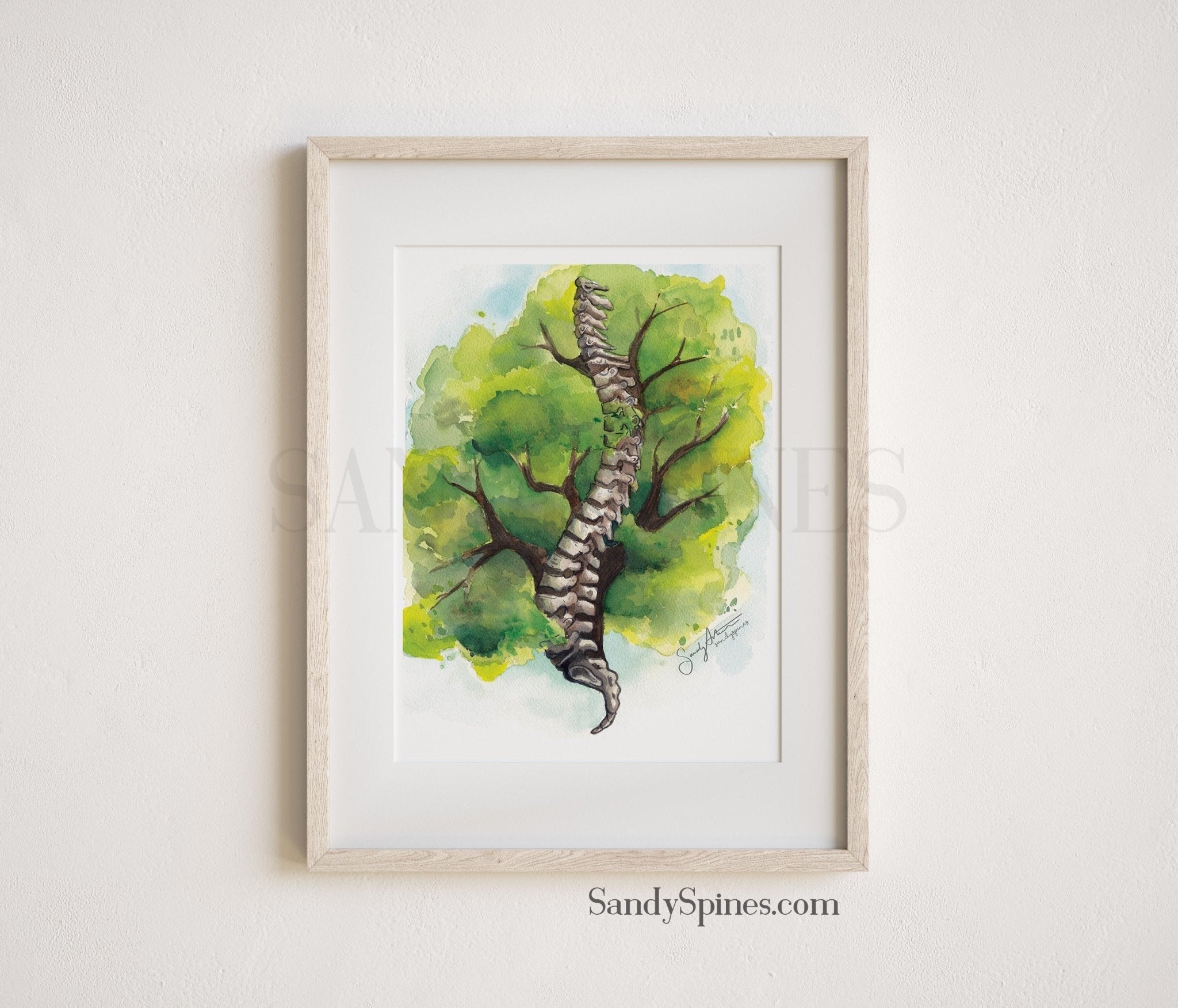 Anatomy Art Prints for Clinics & Offices | SandySpines – Page 2